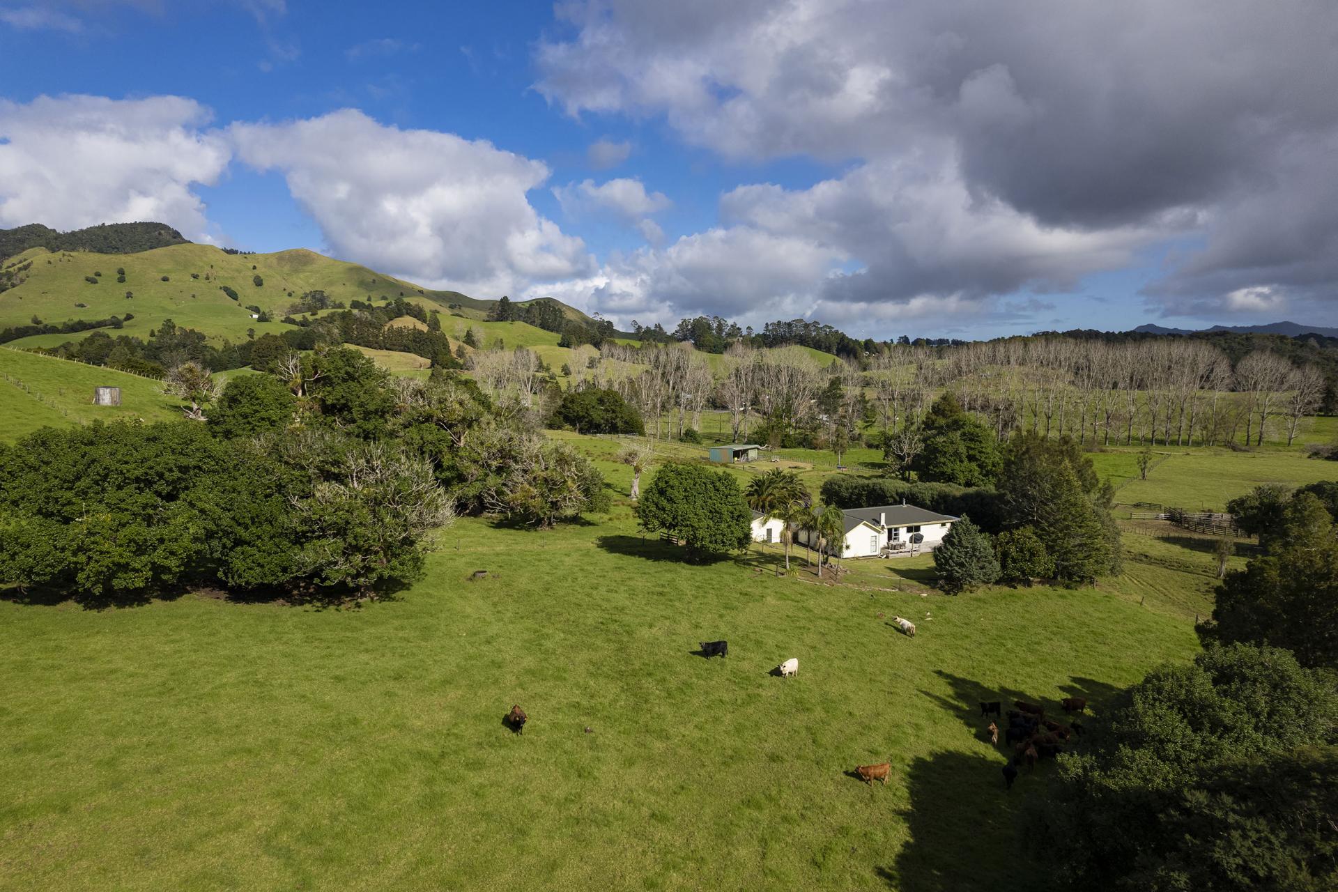 Marr & Co - 73 Takahue Saddle Road, Kaitaia Surrounds