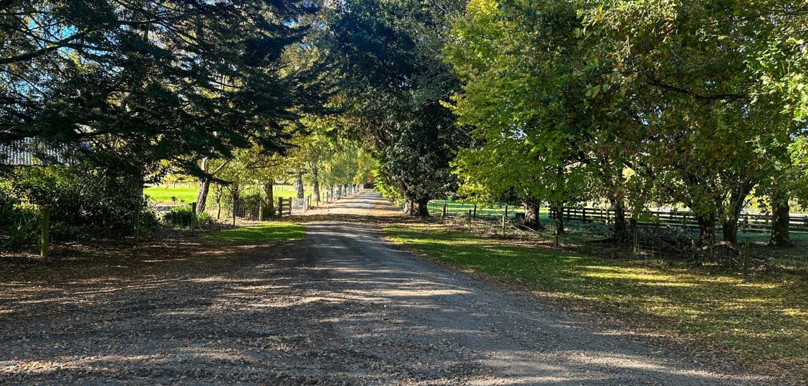 Country & Co Real Estate - Country and Co Realty Ltd