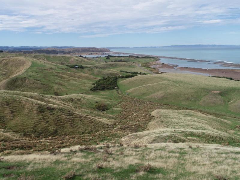 Wairoa Office - Current Listings - PGG Wrightson Real Estate